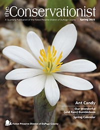 Conservationist 2025 Summer